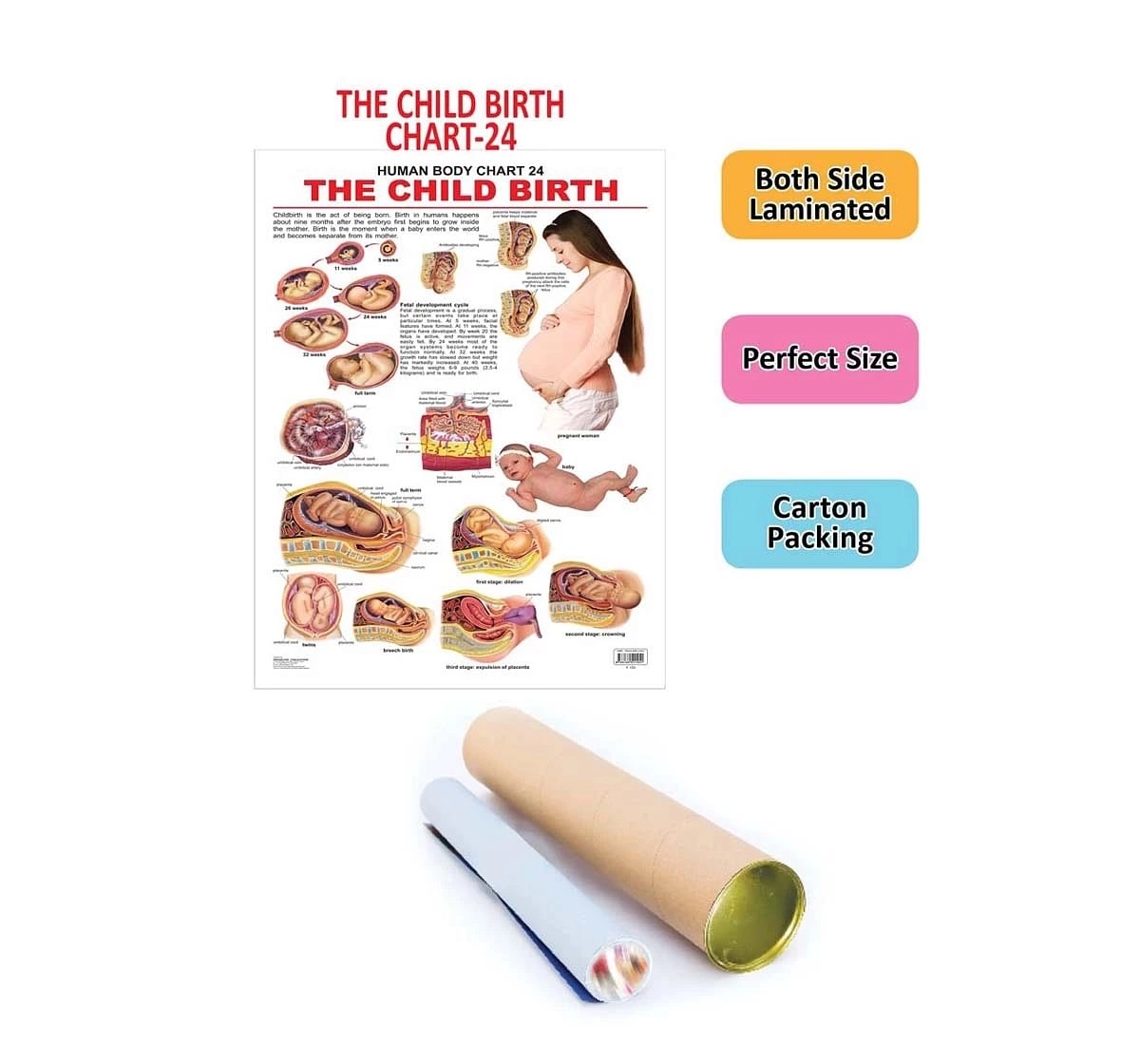 Dreamland the Childbirth Chart for kids 12Y+, Multicolour