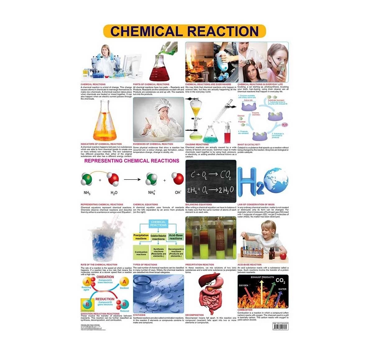 Dreamland Chemical Reactions Chart for kids 12Y+, Multicolour