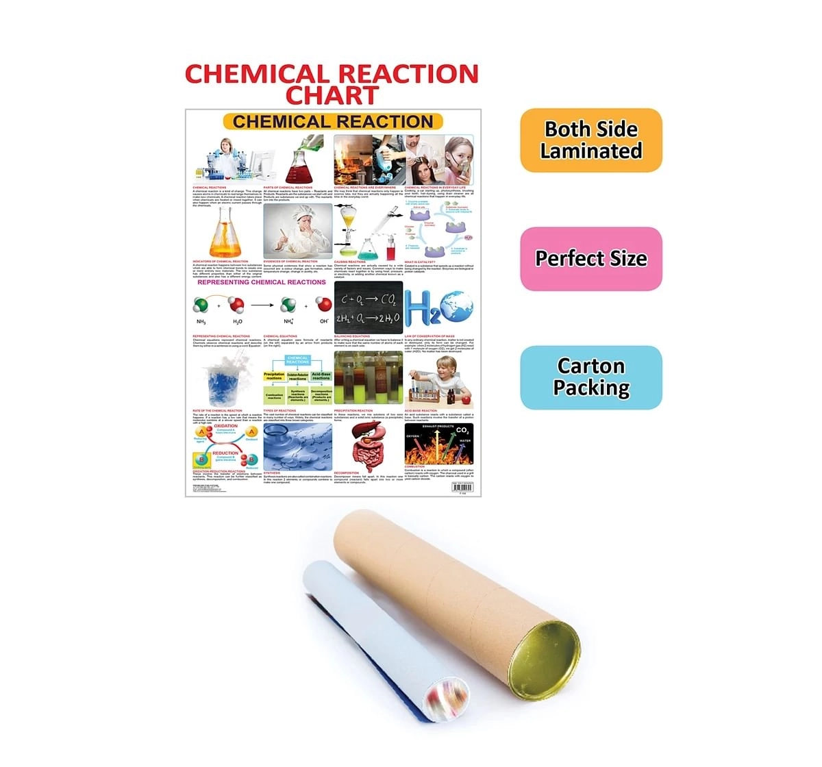 Dreamland Chemical Reactions Chart for kids 12Y+, Multicolour