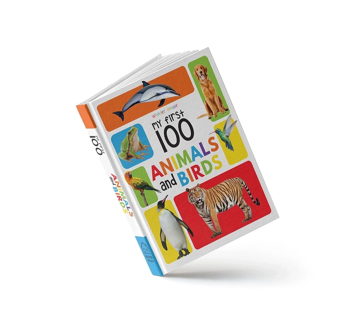 Wonder House Books My First 100 Food We Eat Padded Board Books for kids ...