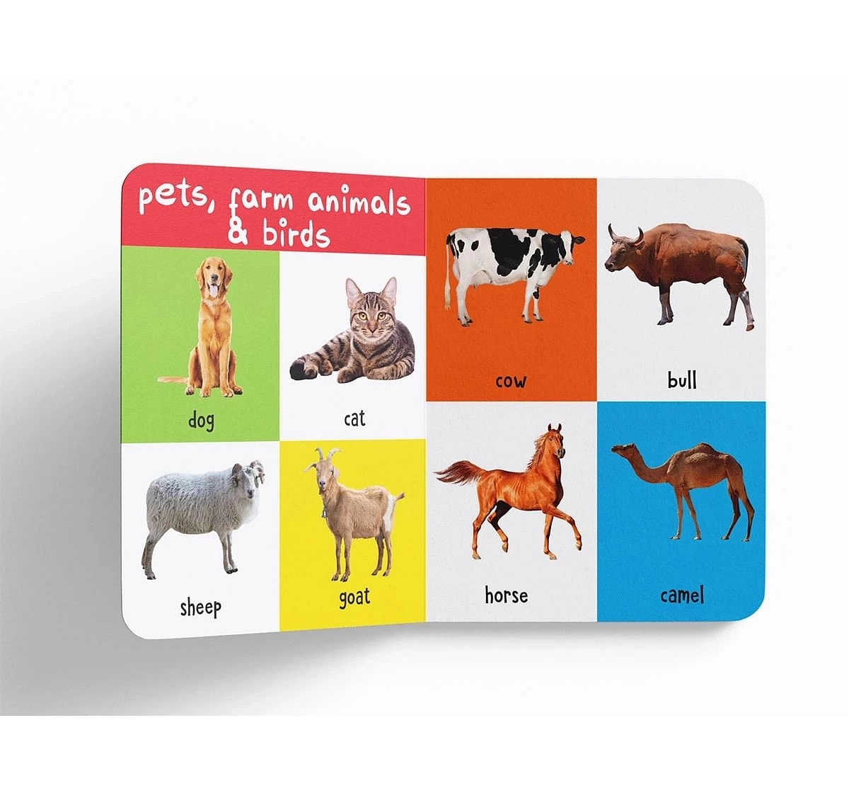 Wonder House Books My First 100 Food We Eat Padded Board Books for kids ...