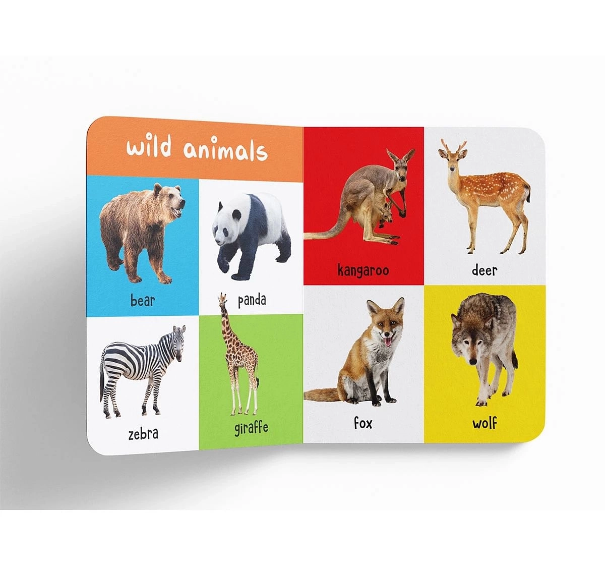 Wonder House Books My First 100 Food We Eat Padded Board Books for kids ...