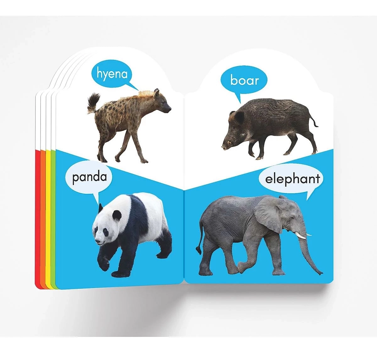 Wonder House Books My Early Learning Wild Animals Book for kids 0M ...