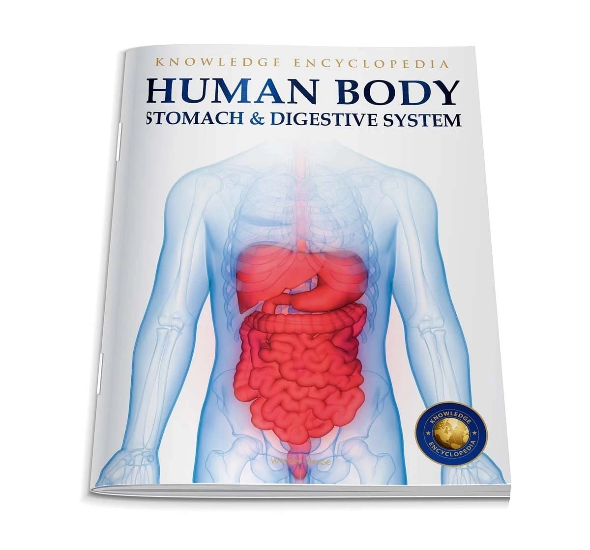 Wonder House Books Human Body Stomach and Digestive System Knowledge ...