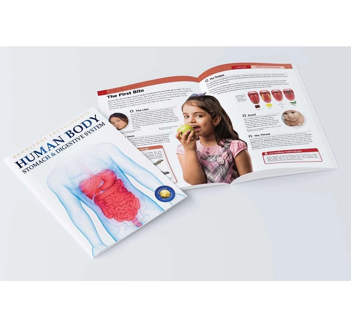 Wonder House Books Human Body Stomach and Digestive System Knowledge ...