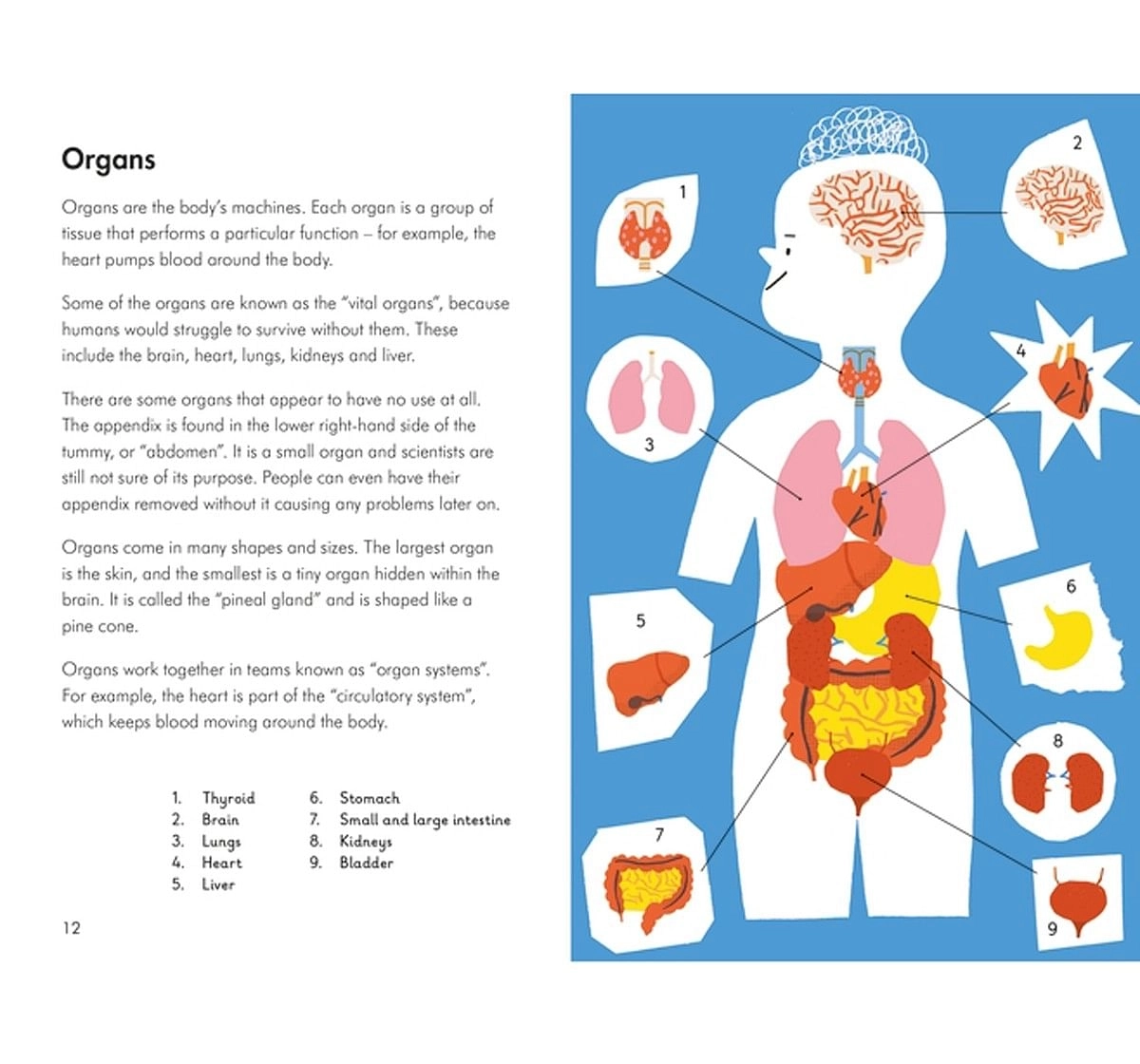 Ladybird The Human Body Hardcover Multicolour 7Y+