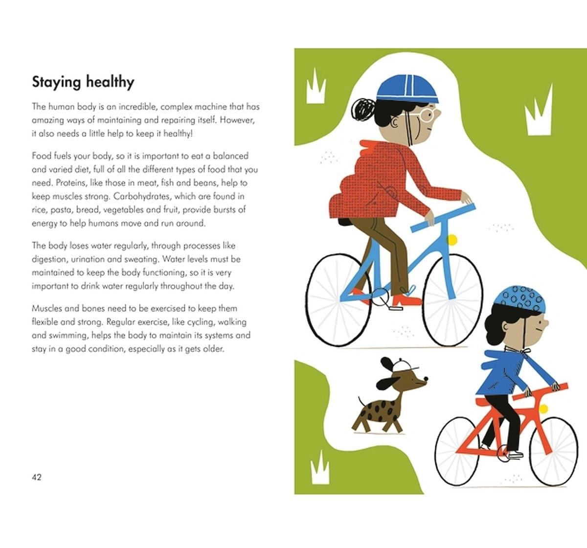 Ladybird The Human Body Hardcover Multicolour 7Y+