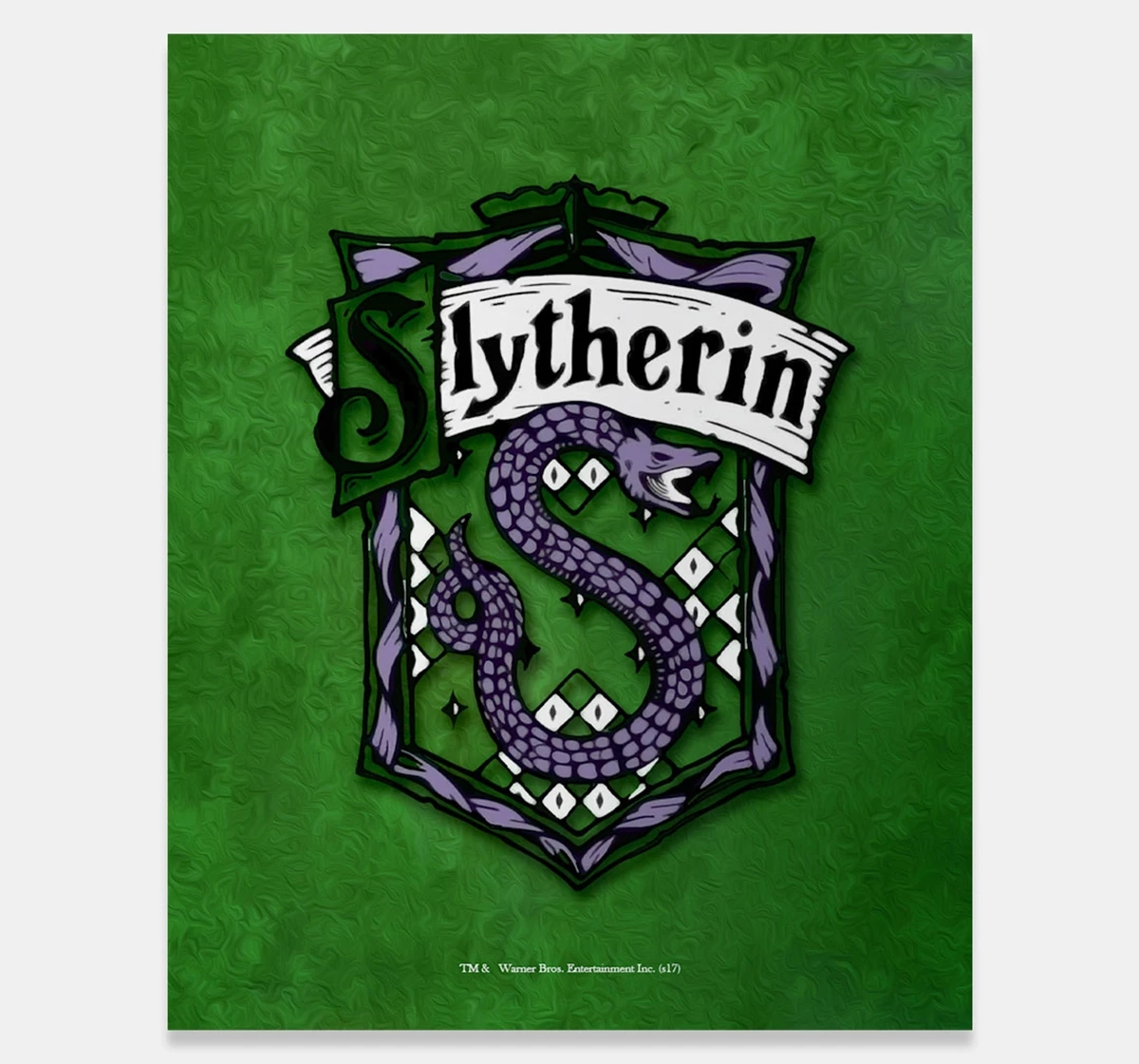 Macmerise Crest Slytherin Fridge Magnets Multicolour 12Y+