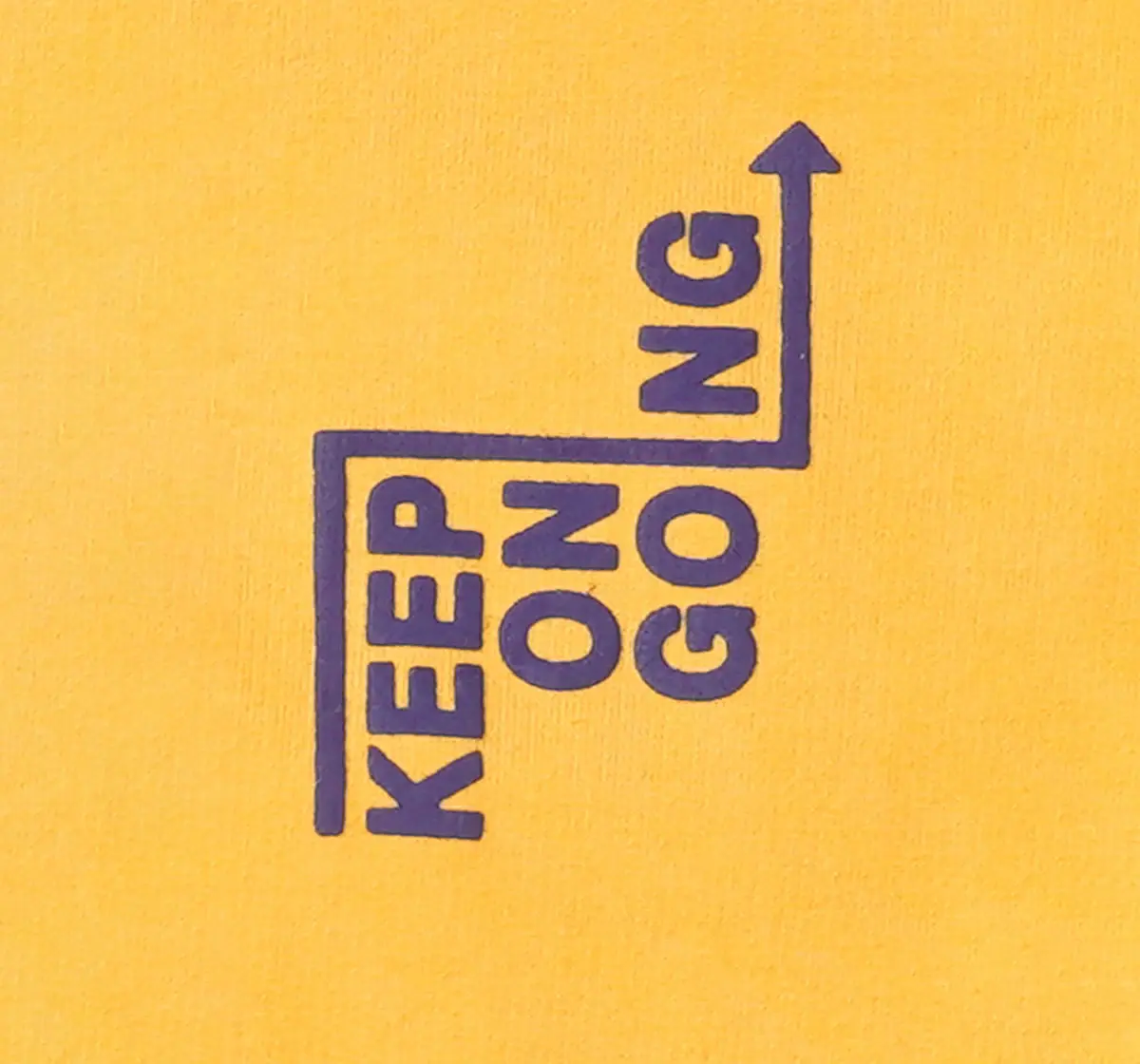 Ed-a-Mamma Sustainable Boys High Neck Solid Sweatshirt