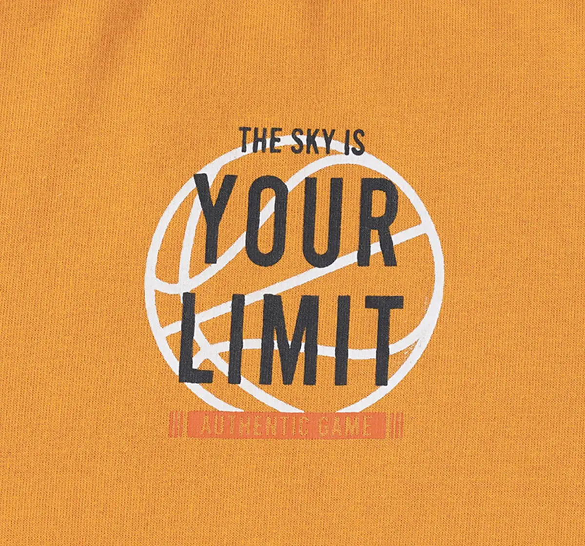 Ed-a-Mamma Sustainable Boys Printed Sweatshirt